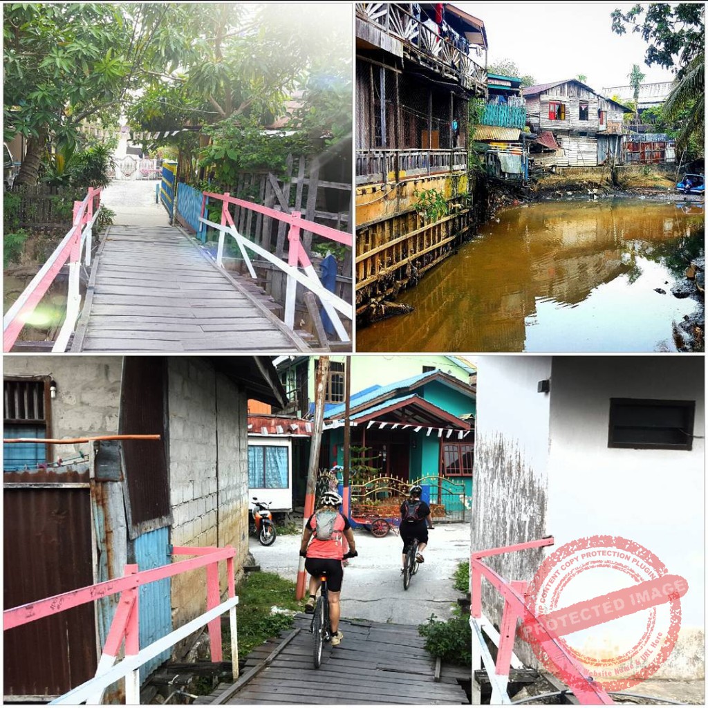 11820658_461937307264487_795976122_n1 - Tonga Time