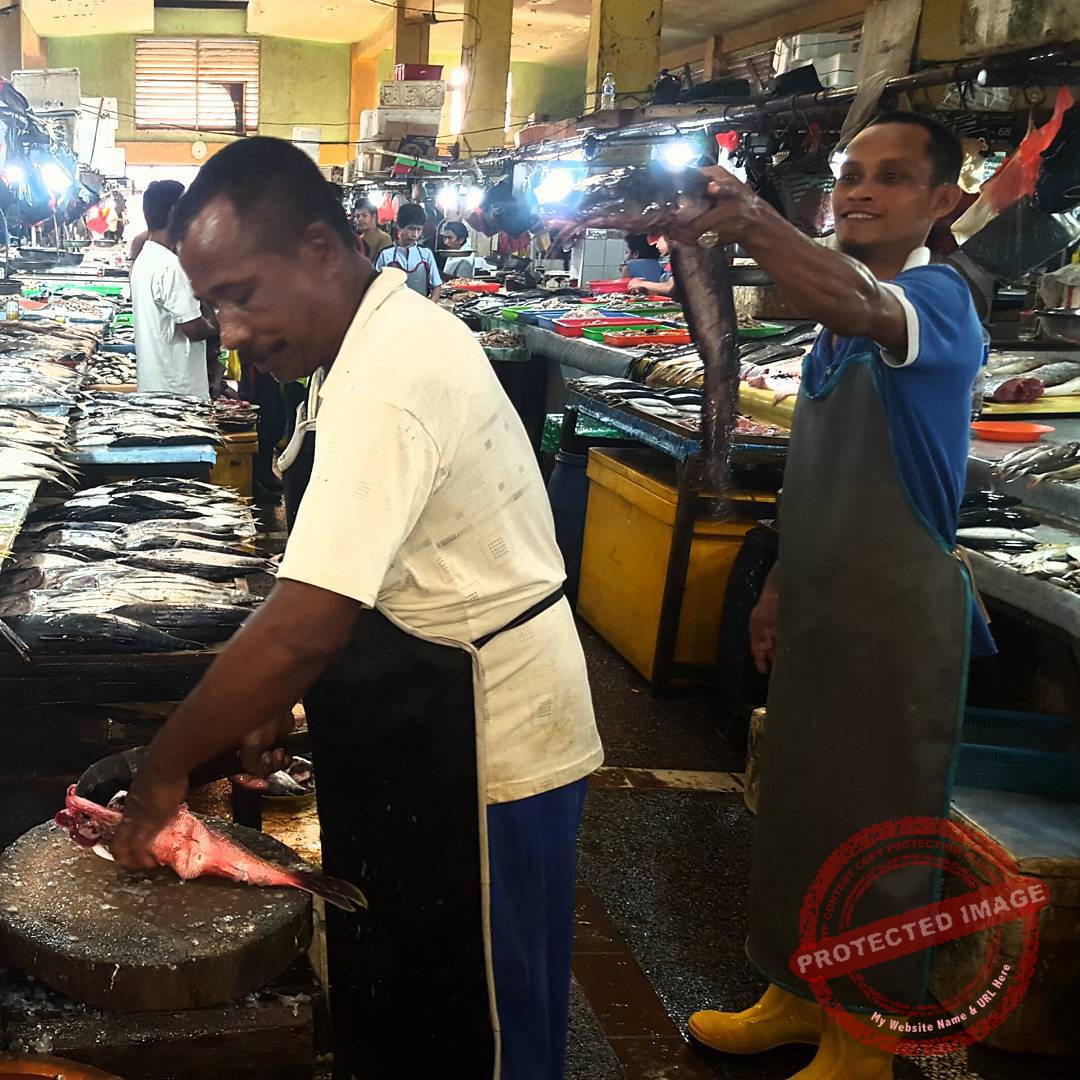 11910090_803025326485048_1872068953_n - Tonga Time